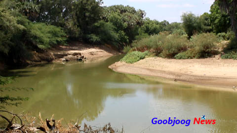 Climate change focus: Thousands at risk as River Shabelle dries up ...